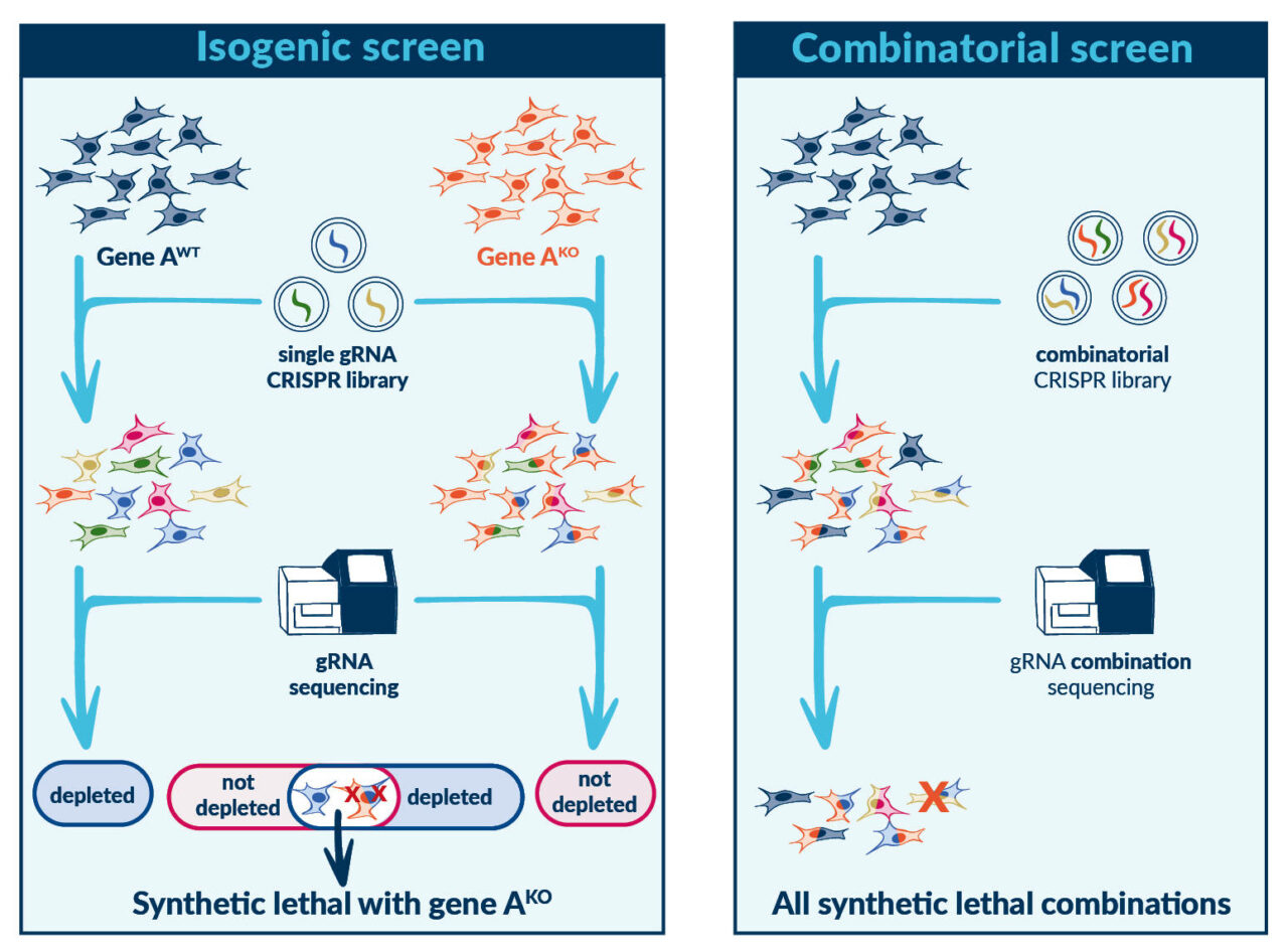 Applications – Vivlion